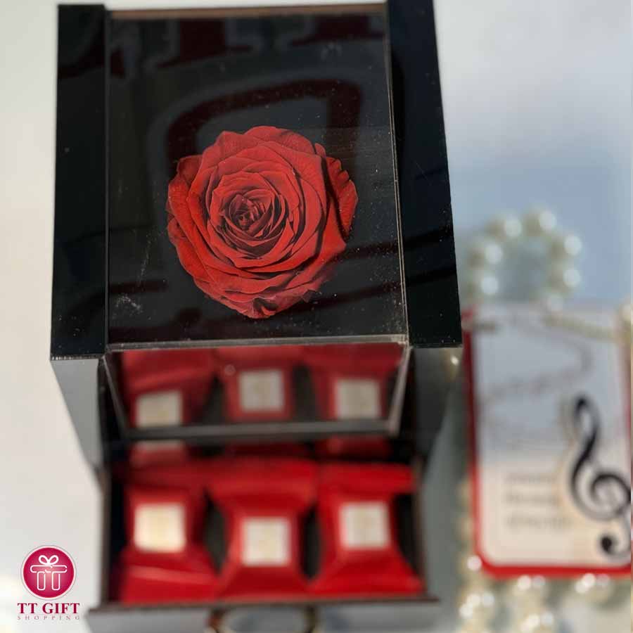 Musical and Drawer Red Eternal Rose